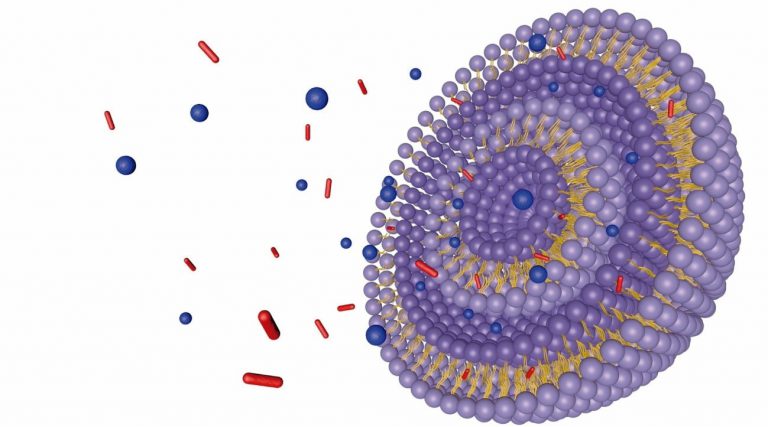 Transformative power of liposomes | in-cosmetics Connect
