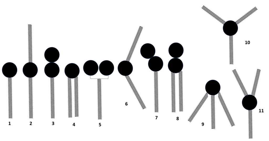 Structure-Property relationships of emulsifiers for liquid crystal ...