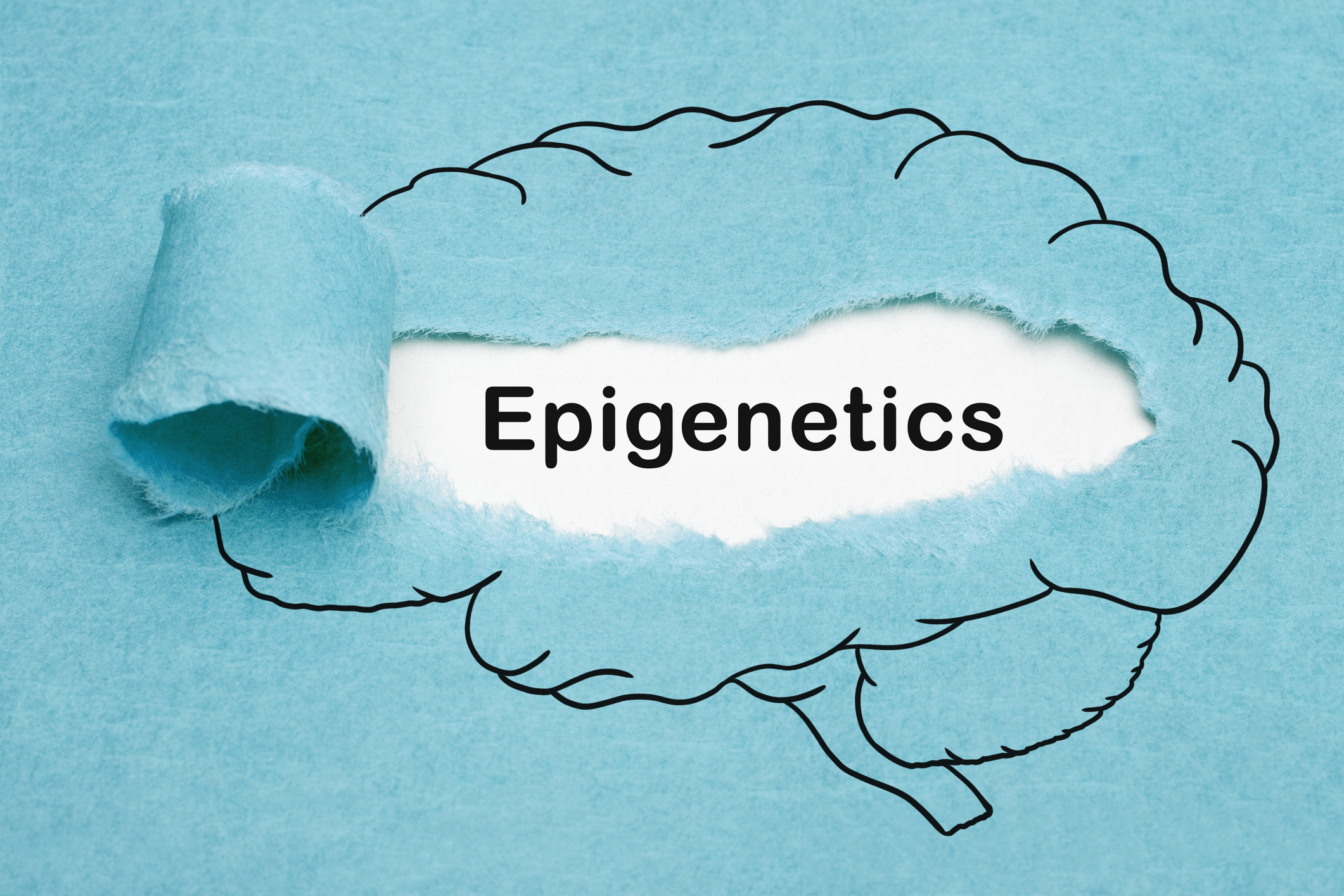 Epigenetics & Cosmetics: R&D Advances | Connect