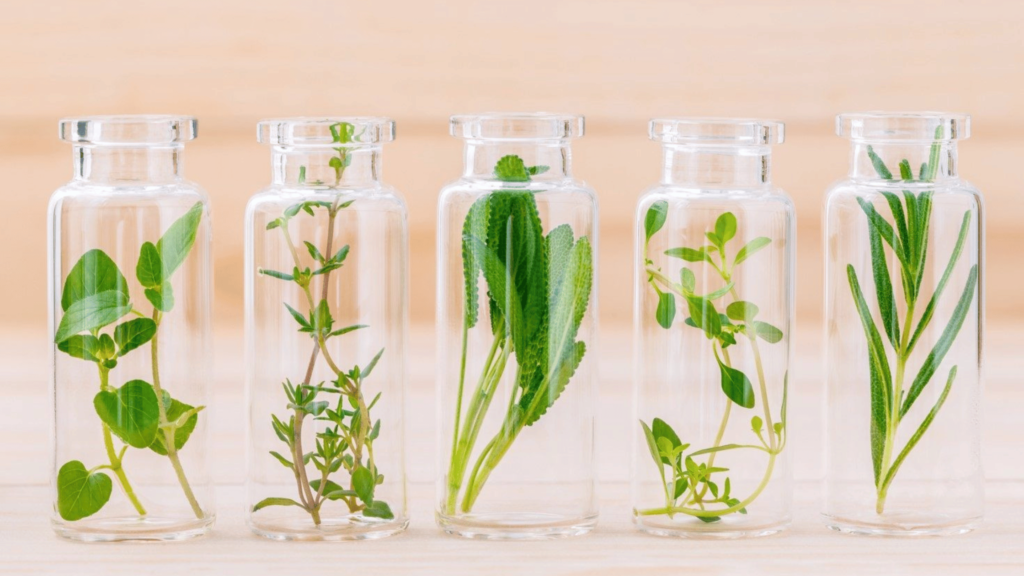 Exploring in-cosmetics Global 2024 highlights: where eco-sustainable ...